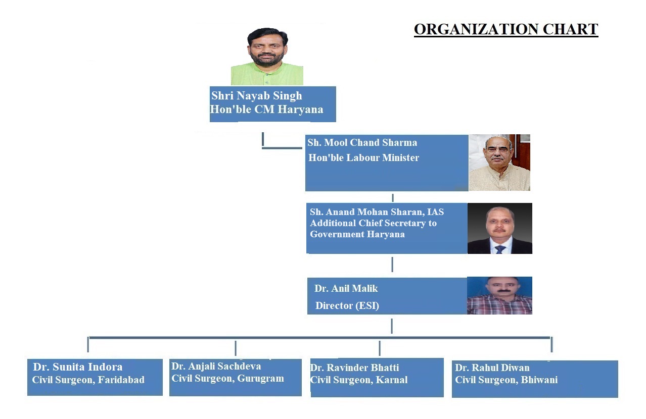 Organization Chart | Employees State Insurance Health Care | India