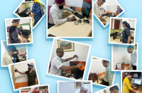 Haryana State Centre | NIC Haryana, Driving the ICT in Haryana. | India