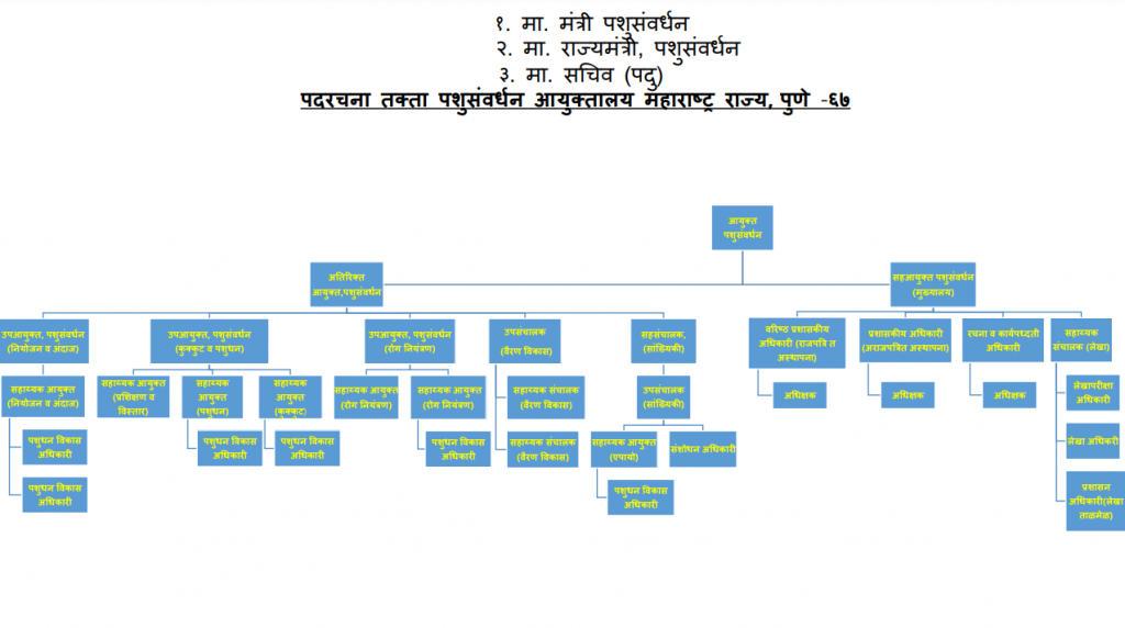 प्रशासकीय रचना | Department of Animal Husbandry and Dairying | भारत