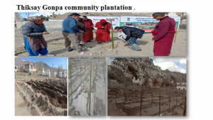 Department of Forest, Ecology & Environment | The Administration of ...