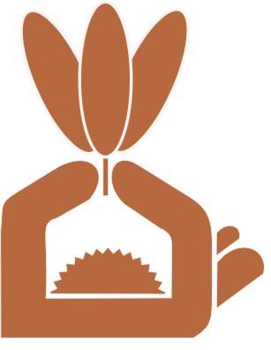 National Leprosy Eradication Programme | Department of Medical Health ...