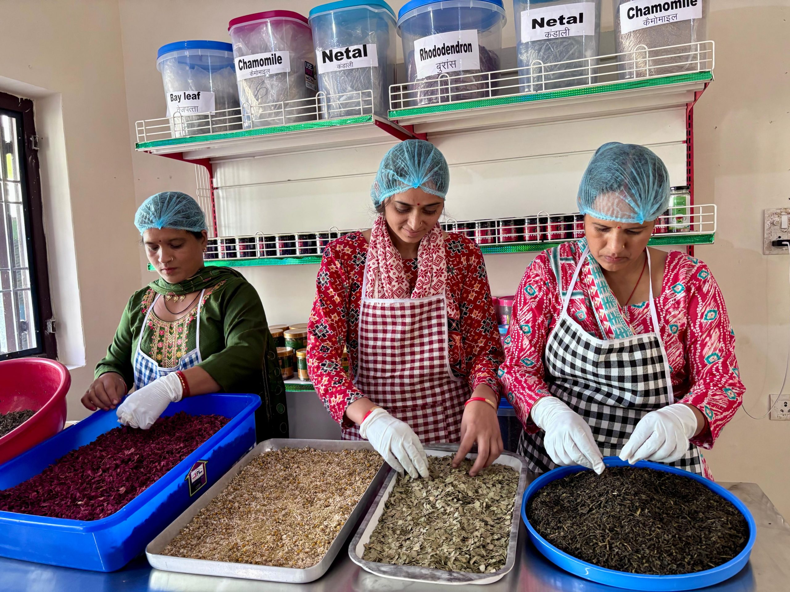 Rural Enterprise Acceleration Project(REAP)-Gramothan | Rural ...