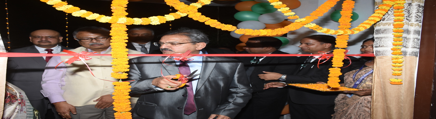 District Court, Madhubani | The interest of the plaintiff is paramount ...